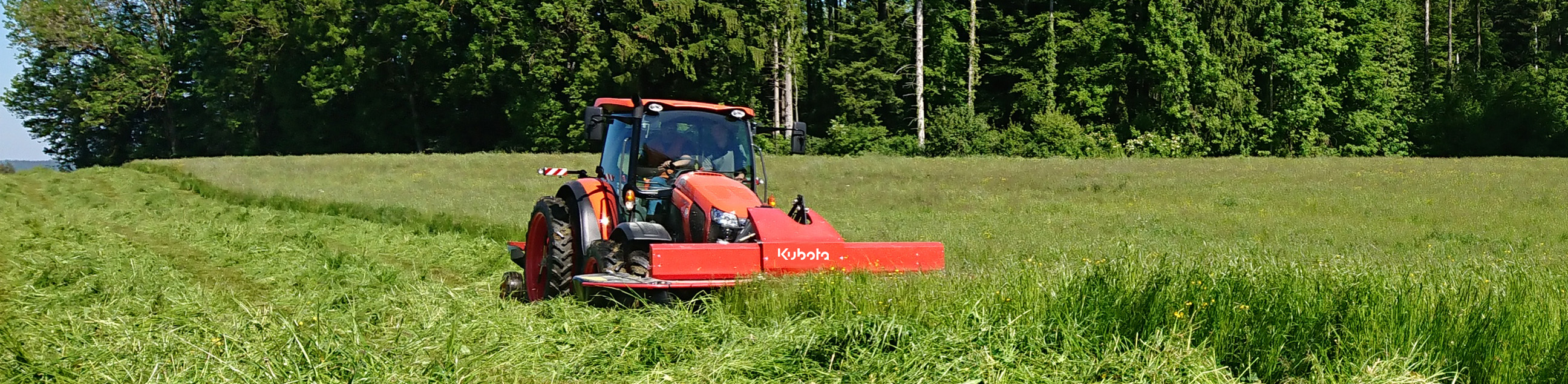 Ad. Bachmann AG - Alhambra Einachskreiselmäher